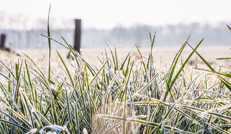 Dankgebed: 7x een gebed vol dankbaarheid | Petrus - Protestantse Kerk